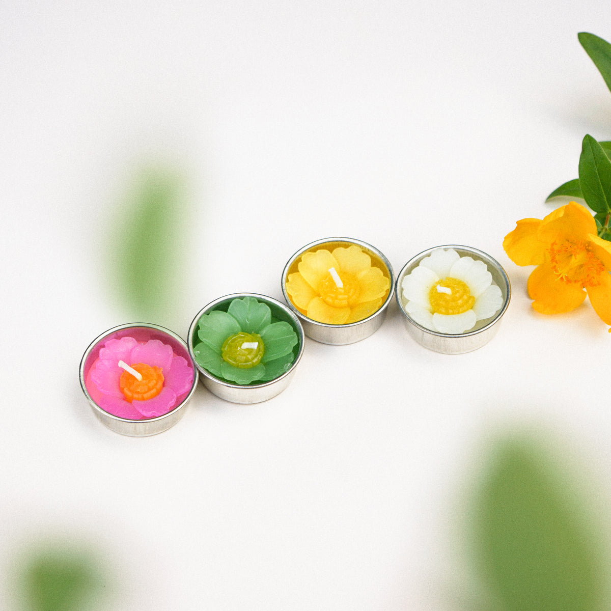 Assorted Primrose Scented Tealights – Thang Tho Ltd.